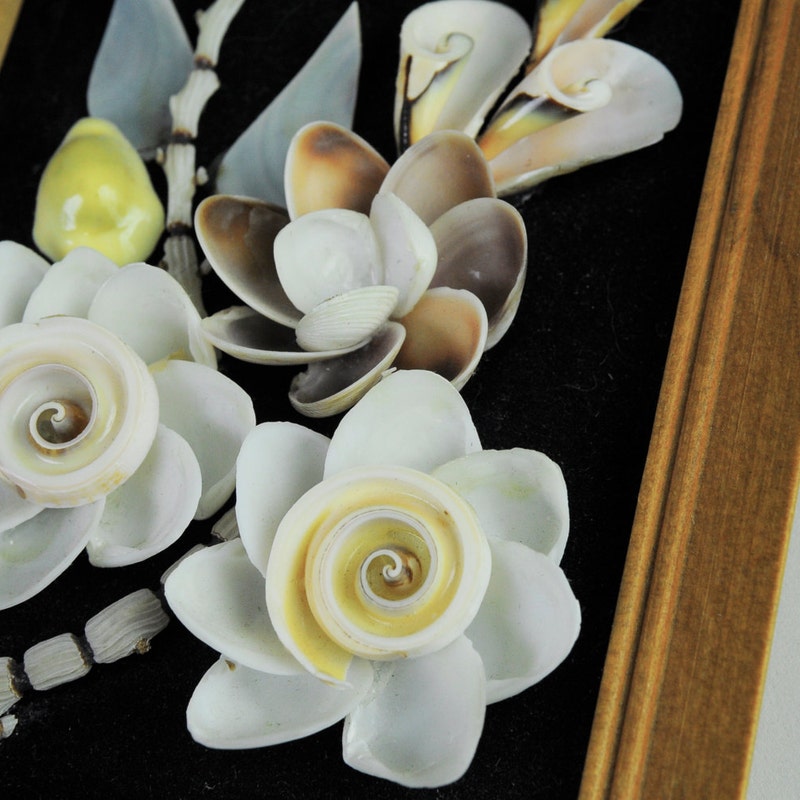Sea Shell Flowers - Etsy