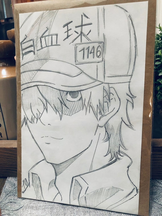 Original Cells at Work Sketch | Etsy