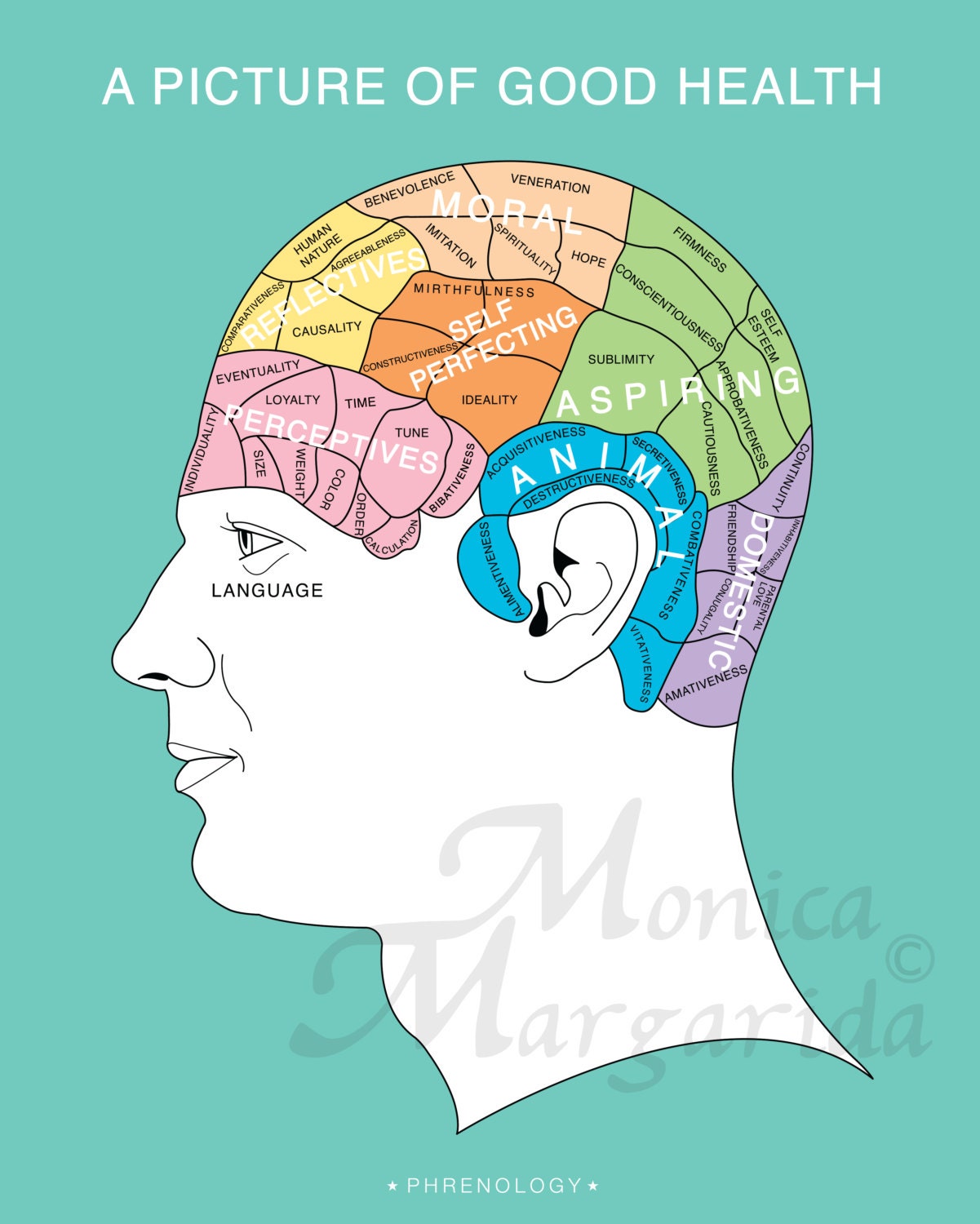 Picture Good Health Art Print, Head Drawing, Man Illustration ...