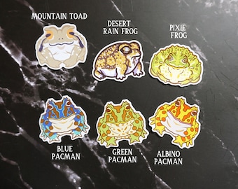 Frog and Toad Bumper Sticker - Etsy