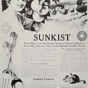 Amazing Rare Vintage SUNKIST 1893-1993 Sunkist "100 Sunkist Years ...