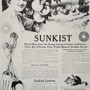 Amazing Rare Vintage Collectible SUNKIST 1893-1993 Sunkist "100 Sunkist ...