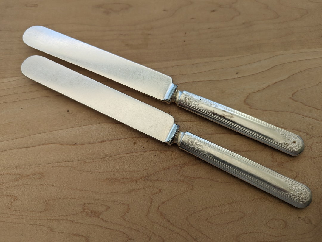 Antique Wm ROGERS 1908 ARBUTUS Blunt Indented Solid Dinner Knife 9 3/8 ...