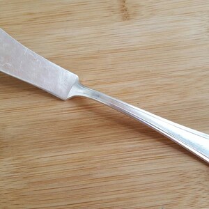 Antique 1835 R WALLACE 1917 HUDSON Flat Handle Master Butter Knife 7 1/ ...