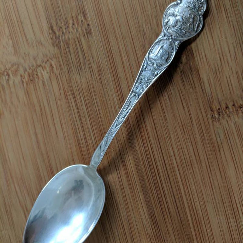 Texas Souvenir Spoon - Etsy
