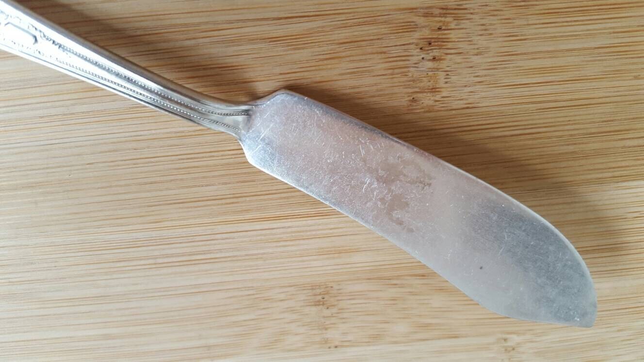 Antique R & B Silver Plate 1926 LYRIC Flat Handle Master Butter Knife 6 ...