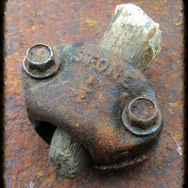 Cattle Horn Weights - Etsy