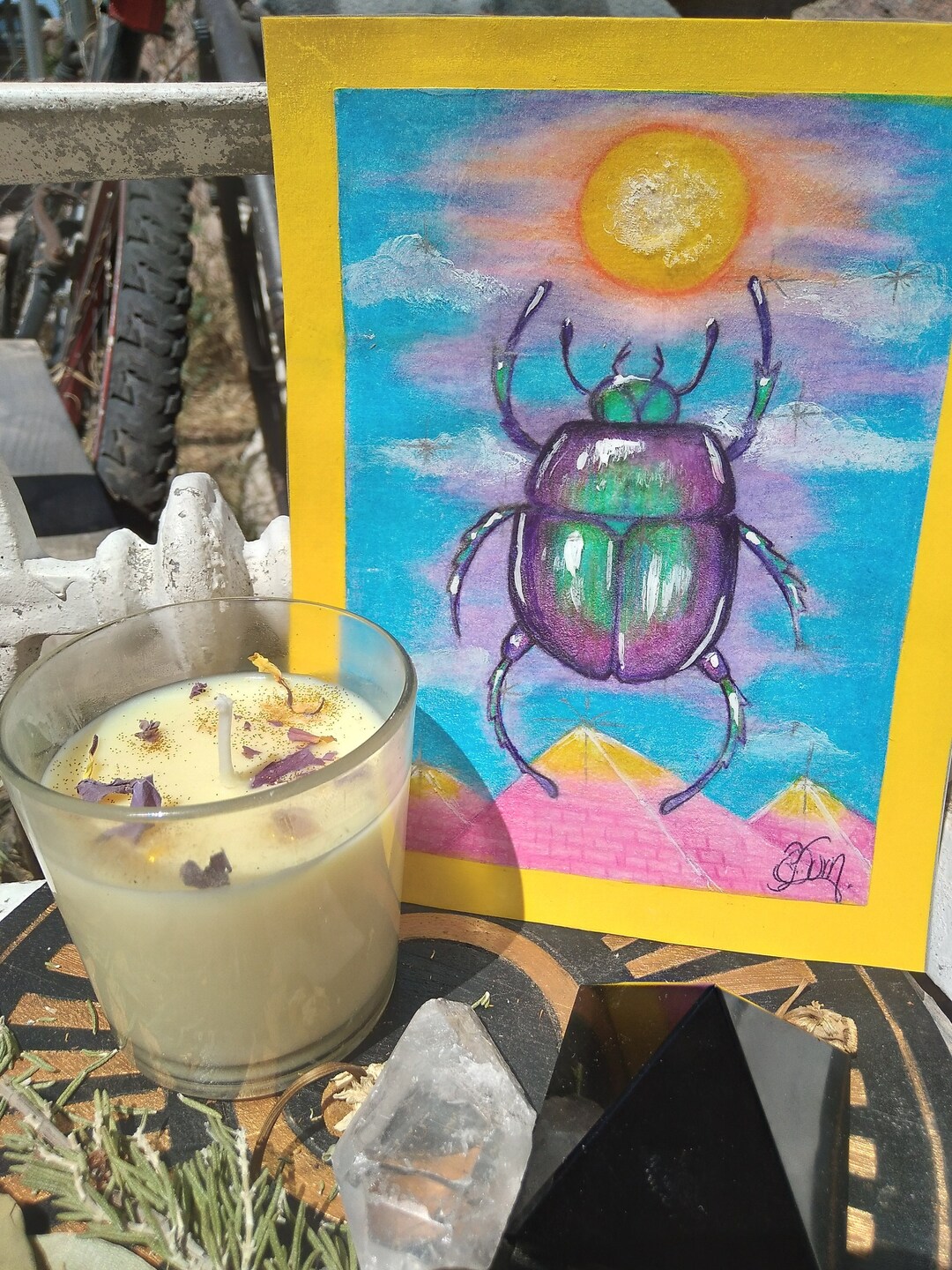 Insect Wisdom Set - Etsy