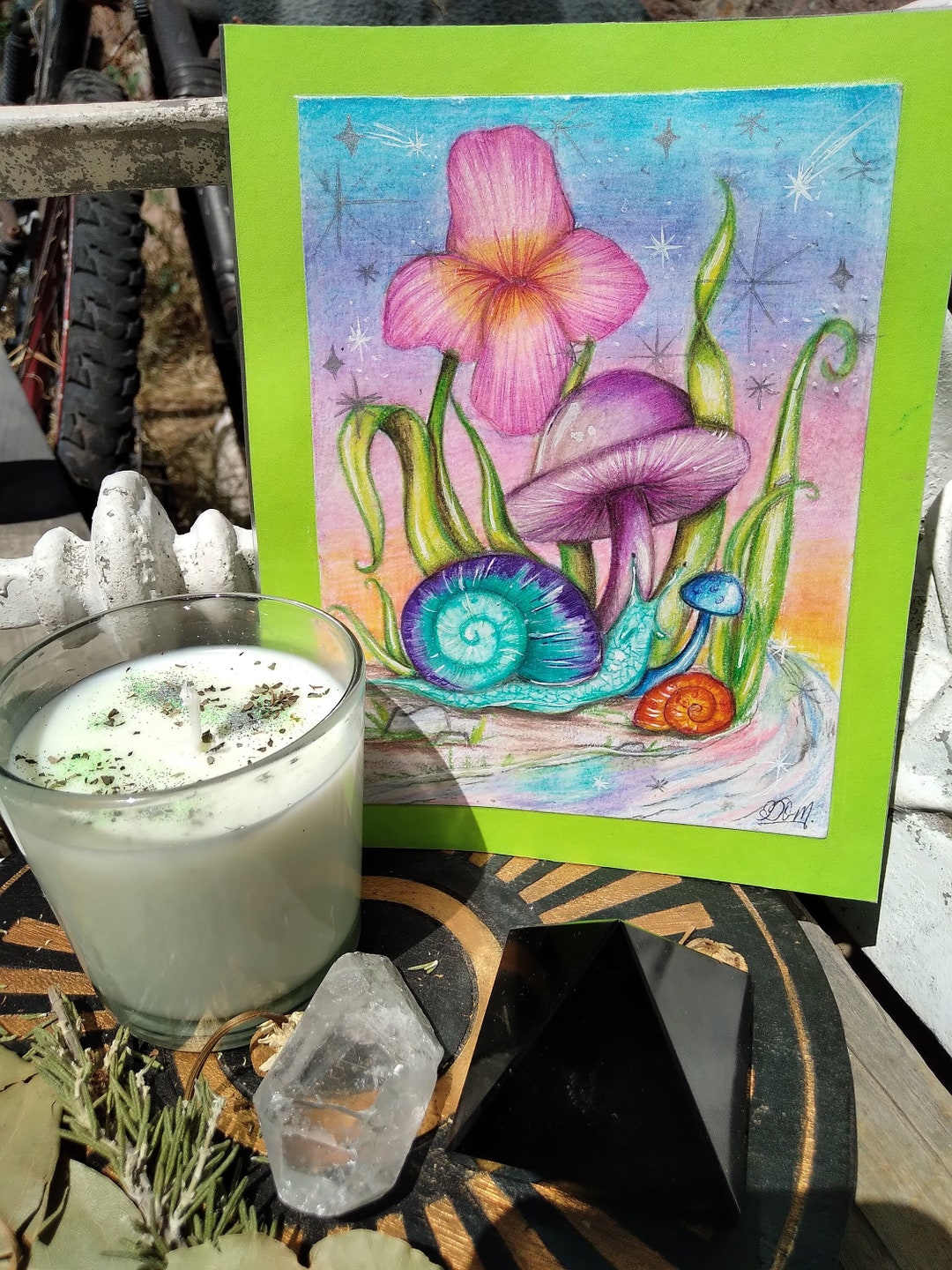 Insect Wisdom Set - Etsy