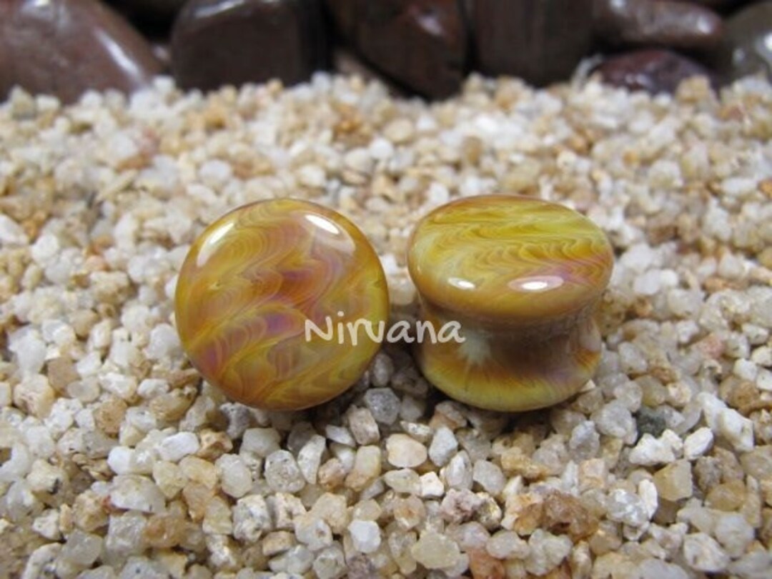 1 Pair (2 Pieces) Exotic Silver Earth Stone Plugs Pyrex Glass - Etsy