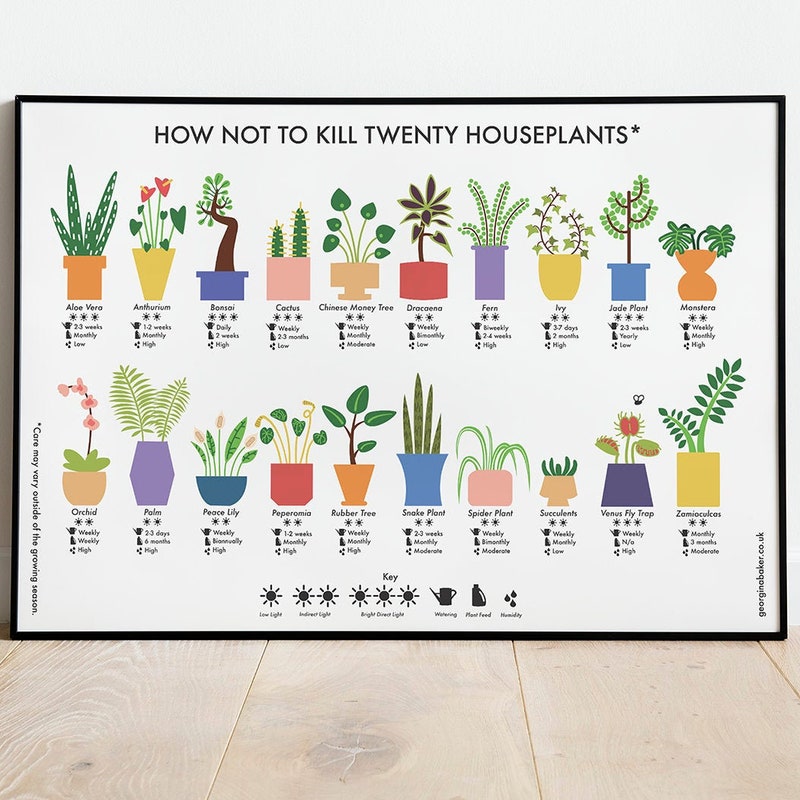 Plant Poster - Etsy