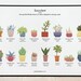 Outer Space Poster Guide A3/A2 - Kids Bedroom Science Poster, Space ...