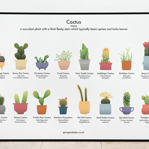 Succulents Houseplant Poster A4 / A3 Houseplants Print - Etsy UK