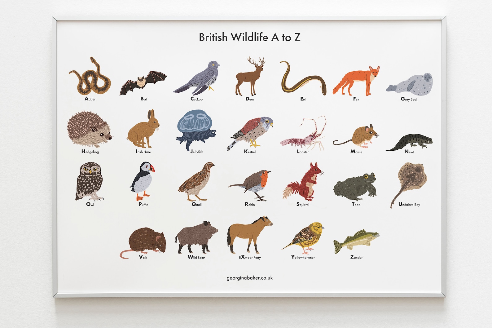 British Wildlife A-Z Poster A4/A3 Animals Print Gift - Etsy UK