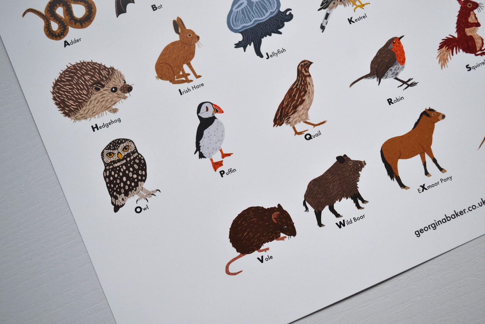 British Wildlife A-Z Poster A4/A3 Animals Print Gift | Etsy