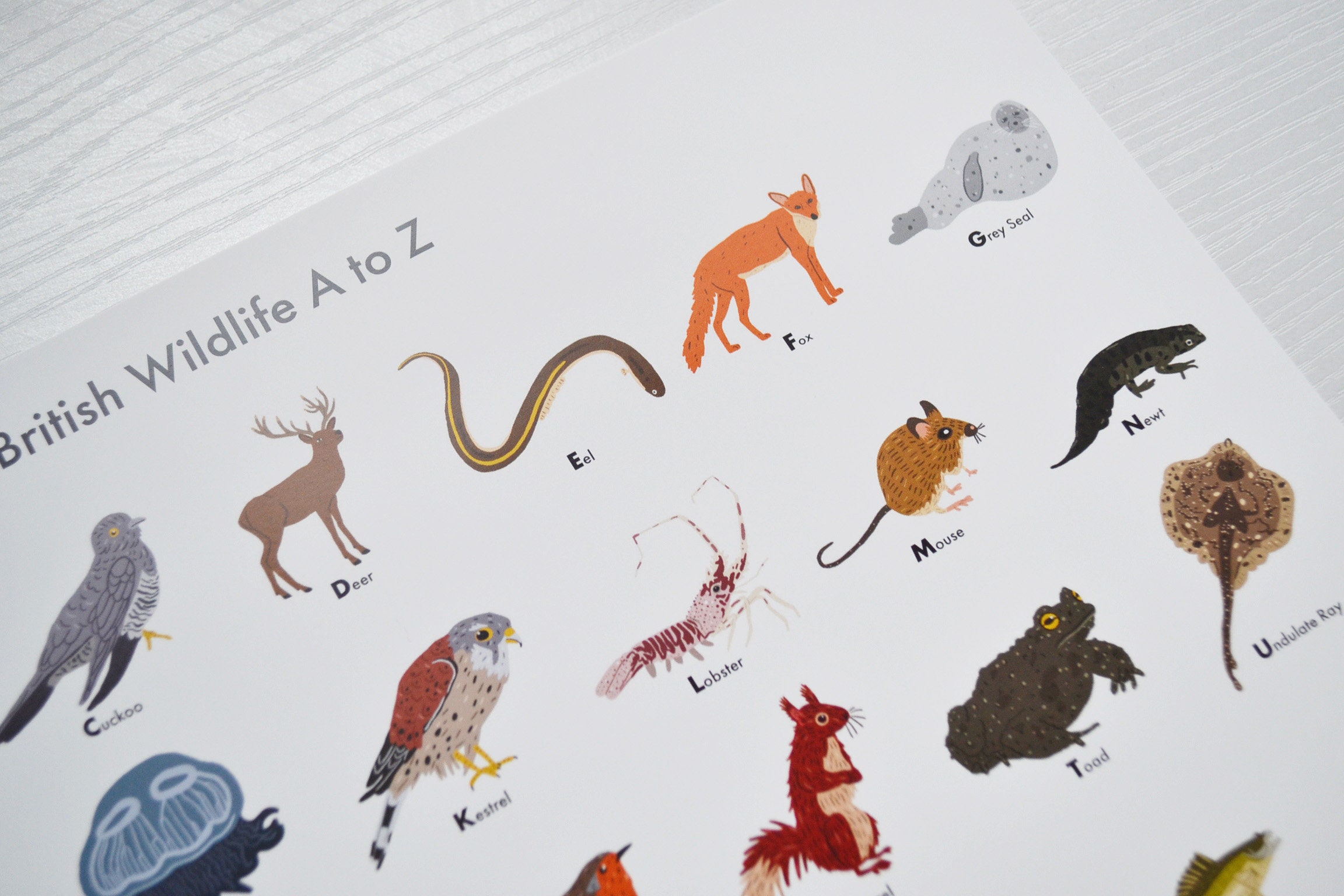 British Wildlife A-Z Poster A4/A3 Animals Print Gift - Etsy UK