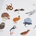 British Wildlife A-Z Poster A4/A3 Animals Print Gift, Children's ...