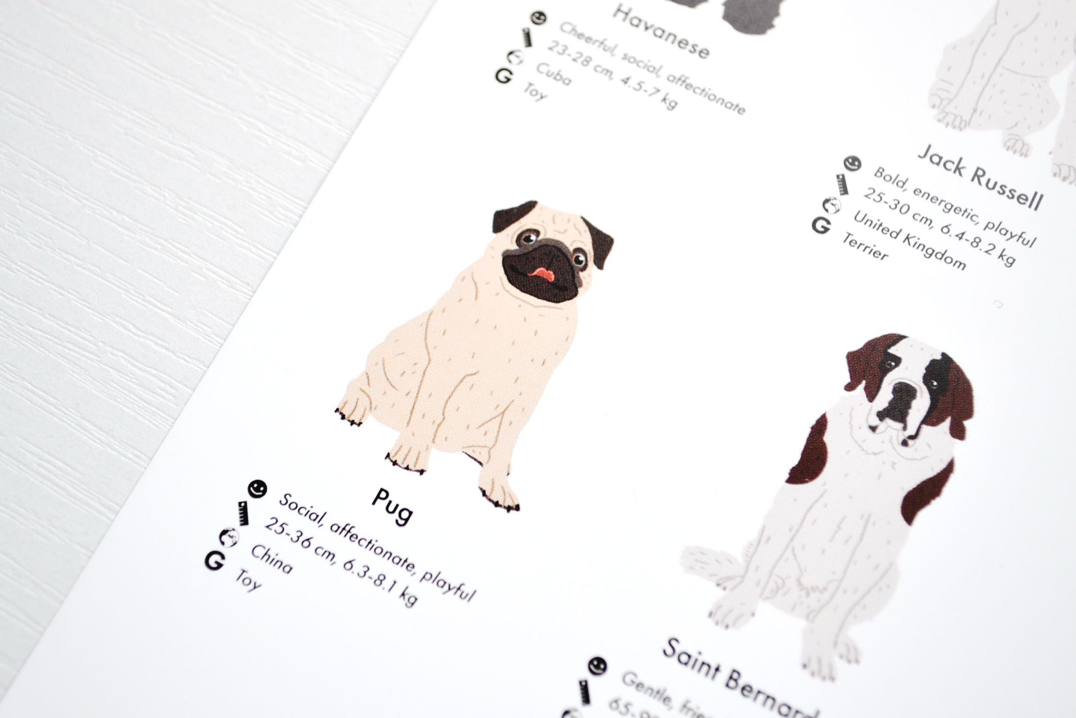 Dog Guide Poster A4/A3 Dog Print Gift Pets Animal Wall Art | Etsy