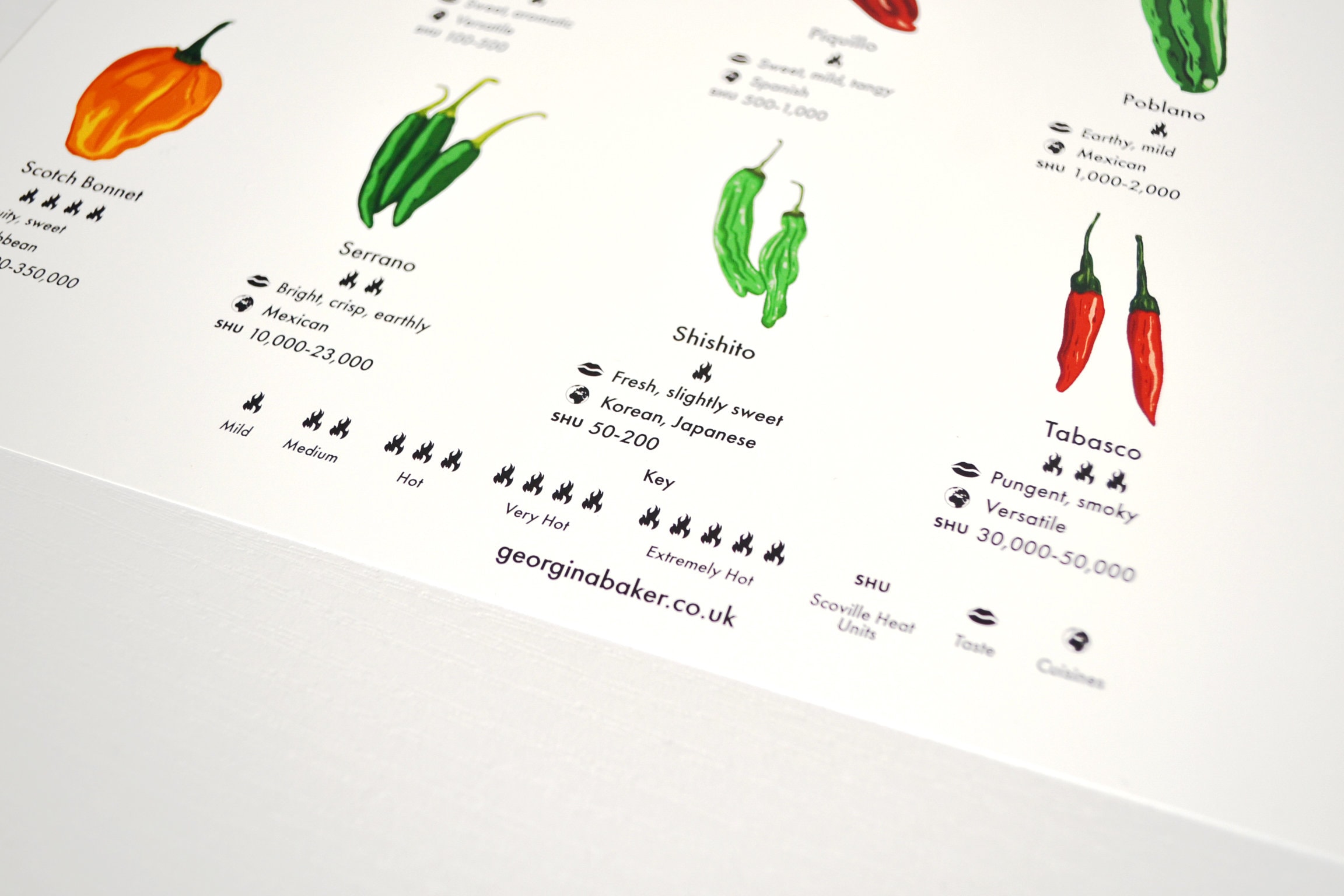 Chili Pepper Types Poster