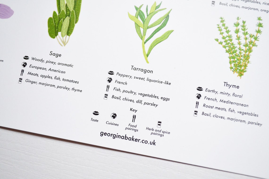 Herbs And Spices Guide Poster A4 A3 A2 Kitchen Print Food Etsy