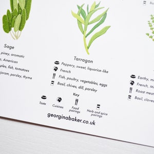 Herbs and Spices Guide Poster A4/A3/A2 - Kitchen Print, Food Wall Art ...
