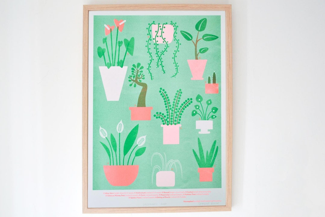 Houseplant Guide A3 Risograph Print - Houseplants Care Print, Plants ...