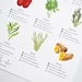 Herbs and Spices Guide Poster A4/A3/A2 - Kitchen Print, Food Wall Art ...