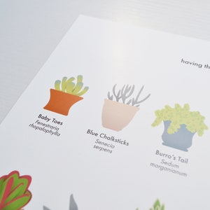 Succulents Houseplant Poster A4 / A3 - Houseplants Print, Plants Wall ...