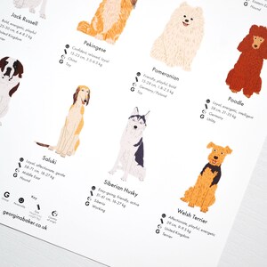 Dog Guide Poster A4/A3 - Dog Print Gift, Pets Animal Wall Art, Home ...