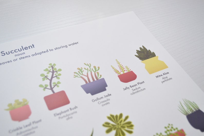 Succulents Houseplant Poster A4 / A3 Houseplants Print - Etsy UK