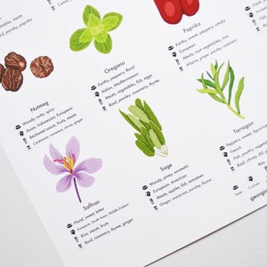 Herbs and Spices Guide Poster A4/A3/A2 - Kitchen Print, Food Wall Art ...
