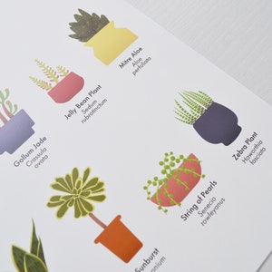 Succulents Houseplant Poster A4 / A3 - Houseplants Print, Plants Wall ...