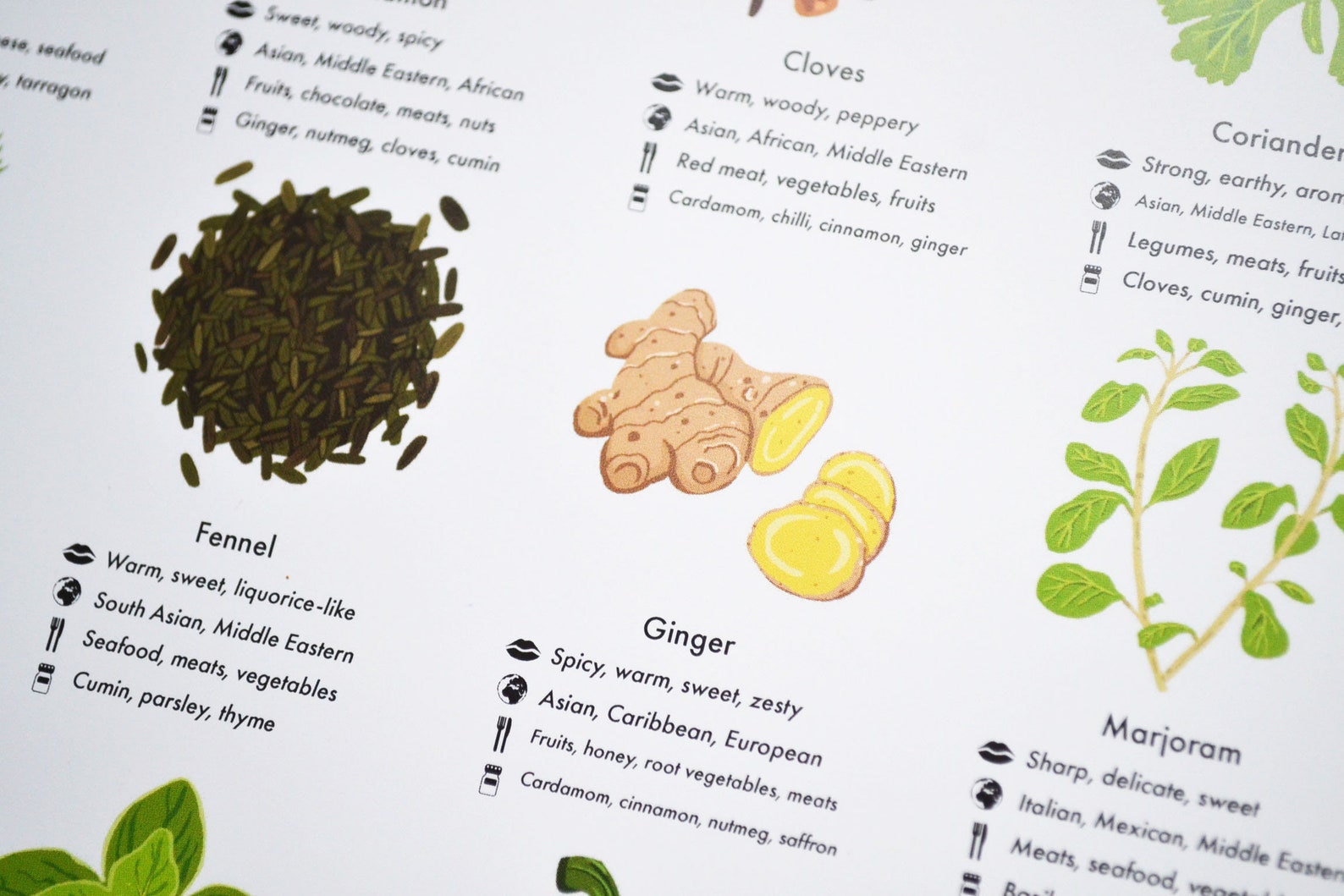 Herbs And Spices Guide Poster A4 A3 A2 Kitchen Print Food Etsy Uk