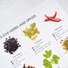 Herbs and Spices Guide Poster A4/A3/A2 Kitchen Print, Food Wall Art ...