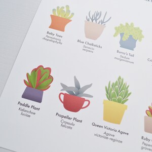 Succulents Houseplant Poster A4 / A3 - Houseplants Print, Plants Wall ...