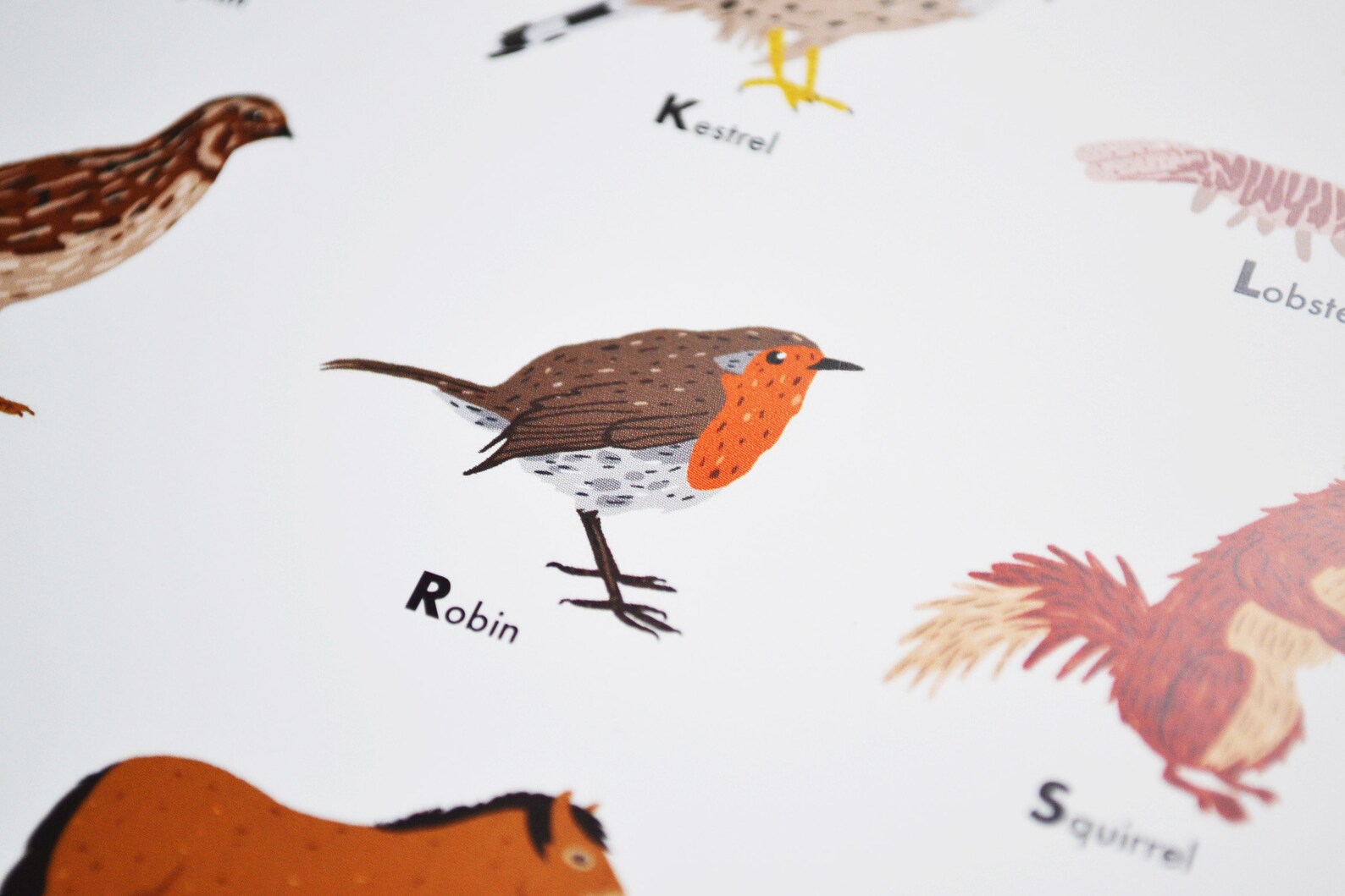 British Wildlife A-Z Poster A4/A3 Animals Print Gift | Etsy