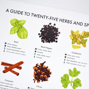 Herbs and Spices Guide Poster A4/A3/A2 - Kitchen Print, Food Wall Art ...
