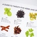 Herbs and Spices Guide Poster A4/A3/A2 - Kitchen Print, Food Wall Art ...