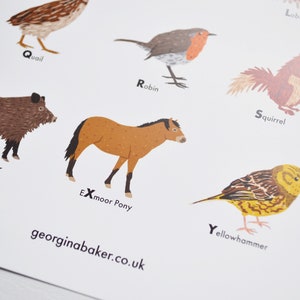 British Wildlife A-Z Poster A4/A3 - Animals Print Gift, Children's ...