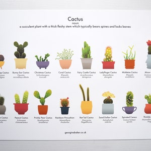Cactus Houseplant Print A4 / A3 - Houseplants Print, Plants Wall Art ...