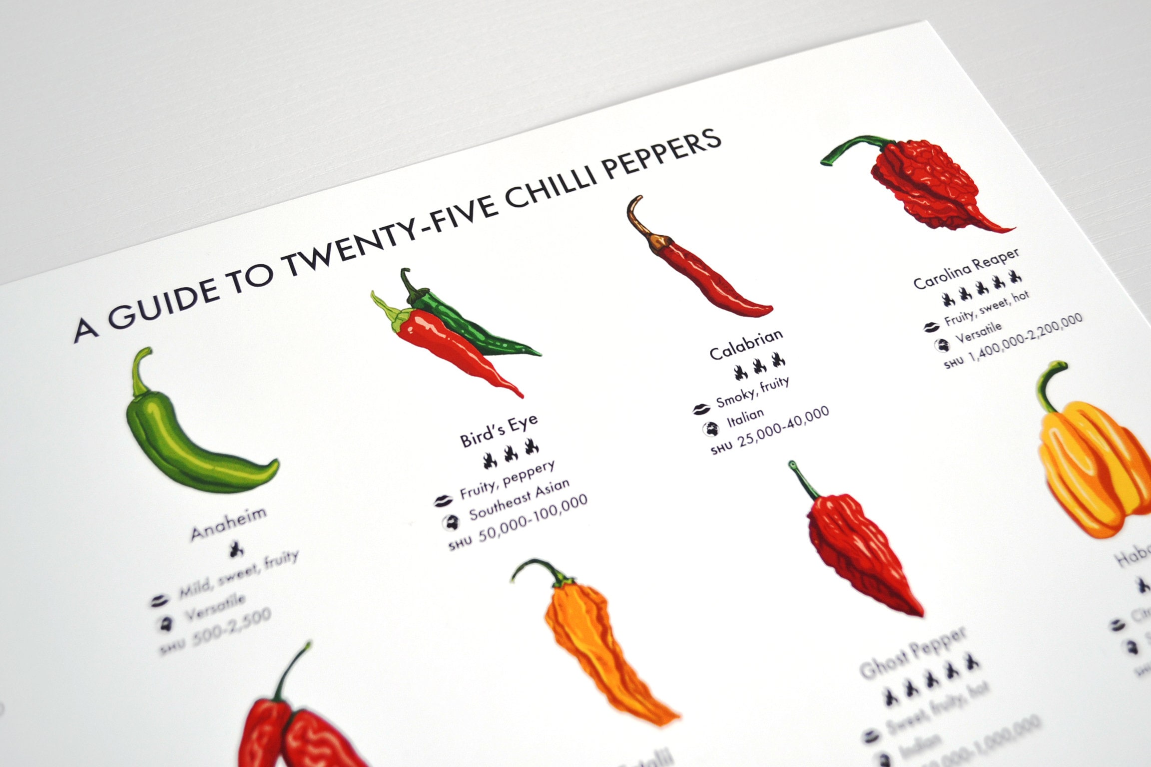 Chilli Peppers Guide Poster A4/A3/A2 Kitchen Print Food - Etsy UK