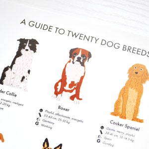 Dog Guide Poster A4/A3 - Dog Print Gift, Pets Animal Wall Art, Home ...