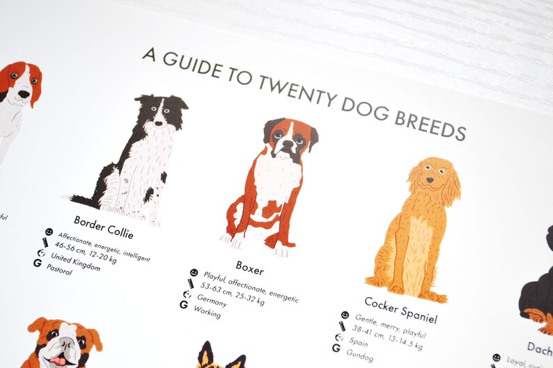 Dog Guide Poster A4/A3 Dog Print Gift Pets Animal Wall Art - Etsy Ireland