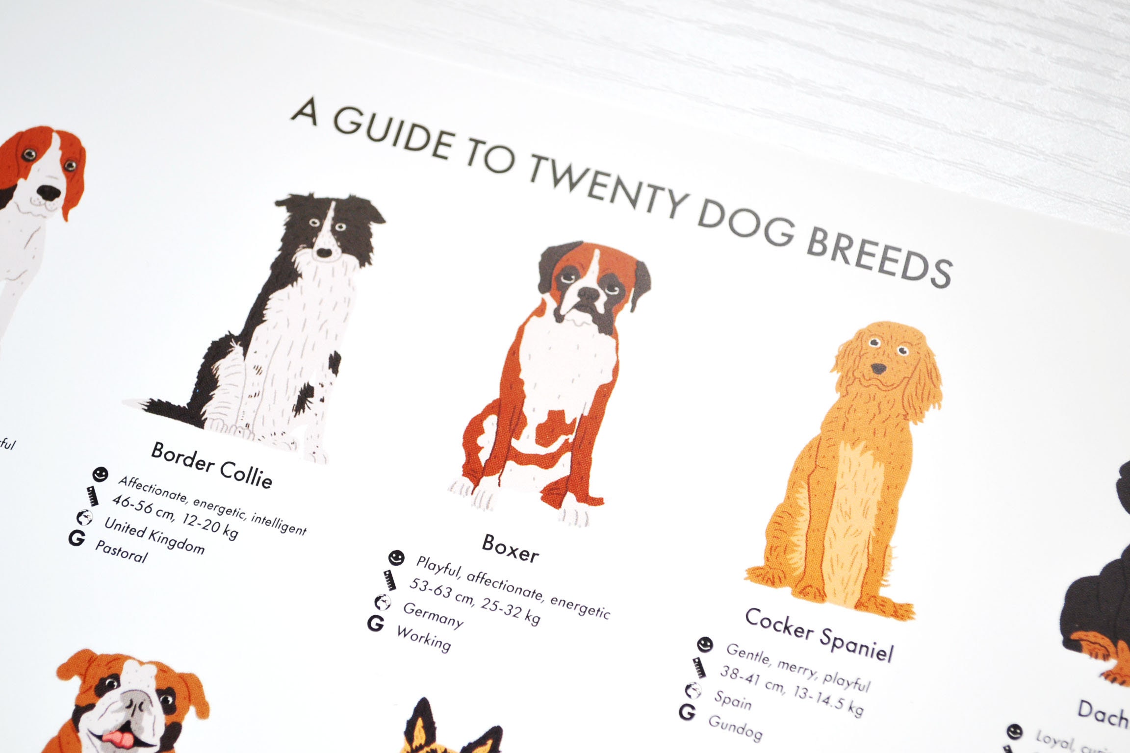 Dog Guide Poster A4/A3 Dog Print Gift Pets Animal Wall Art - Etsy UK