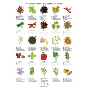 Herbs and Spices Guide Poster A4/A3/A2 - Kitchen Print, Food Wall Art ...