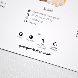 Dog Guide Poster A4/A3 - Dog Print Gift, Pets Animal Wall Art, Home ...