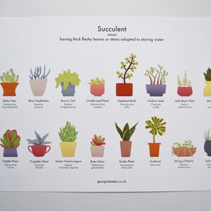 Succulents Houseplant Poster A4 / A3 - Houseplants Print, Plants Wall ...