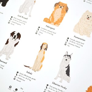 Dog Guide Poster A4/A3 - Dog Print Gift, Pets Animal Wall Art, Home ...