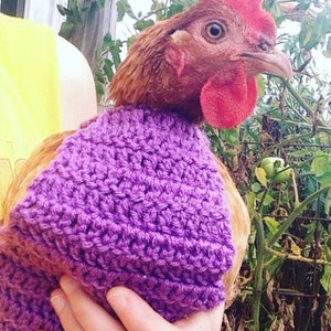 DIGITAL CROCHET PATTERN - Not a Finished Product - Chicken Sweater ...