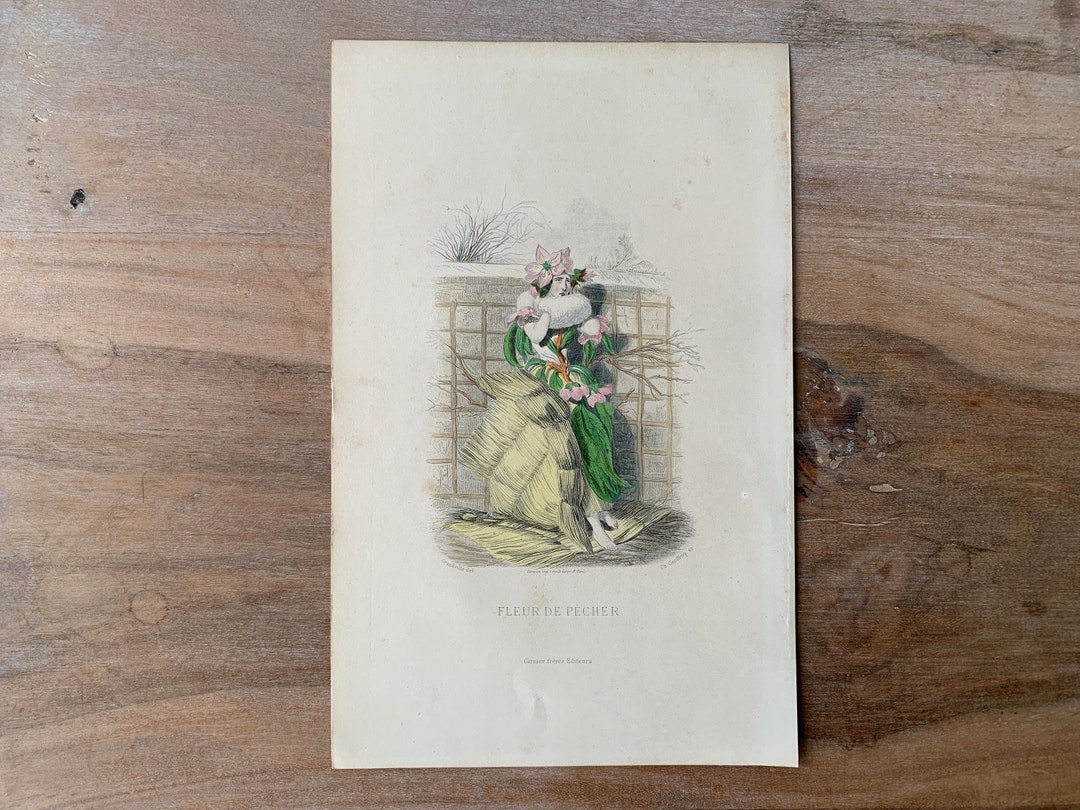 1867 Antique Botanical Engraving With Lady Flower, Camellia, Garden ...